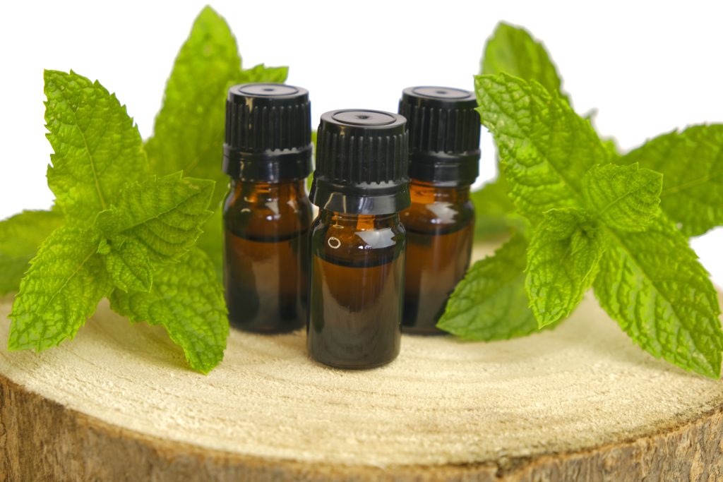 10 Unbelievable Health Benefits of Peppermint - Modern Wellness